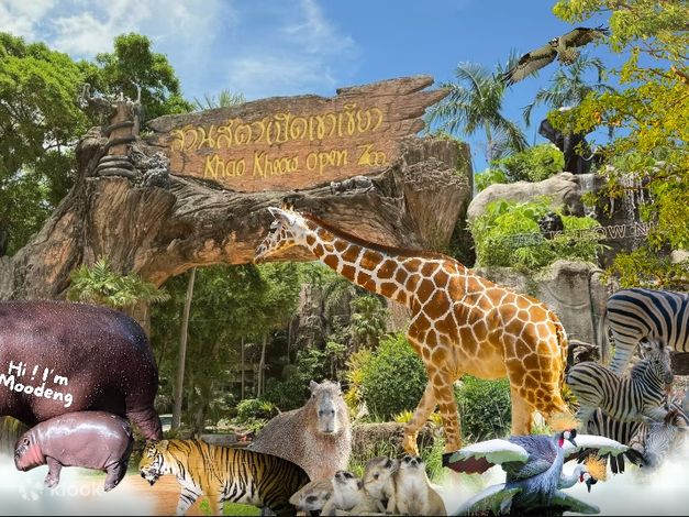 綠山野生動物園一日遊 - 芭堤雅 / 曼谷出發（TTD GLOBAL提供） - Klook 客路