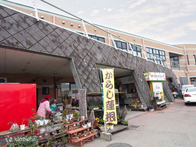 【From Aso Kumamoto Airport】Yamaga Kazumi Shuttle Bus / Sightseeing tour ...