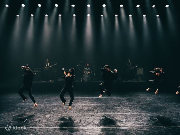 Darkness Poomba Ticket in Seoul - Klook