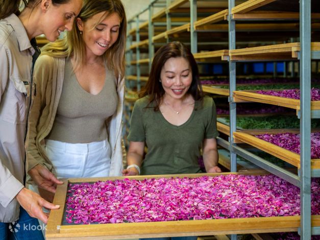 阿德萊德山茱莉蔻農場之旅 - Klook香港