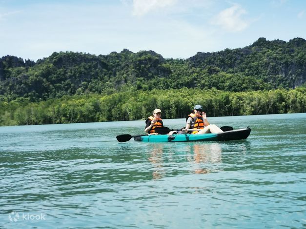 Mangrove Kayaking (Day or Sunset) Tour in Langkawi - Klook India