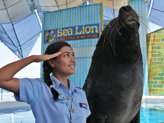 Ocean Adventure Ticket in Subic Bay - Klook Philippines