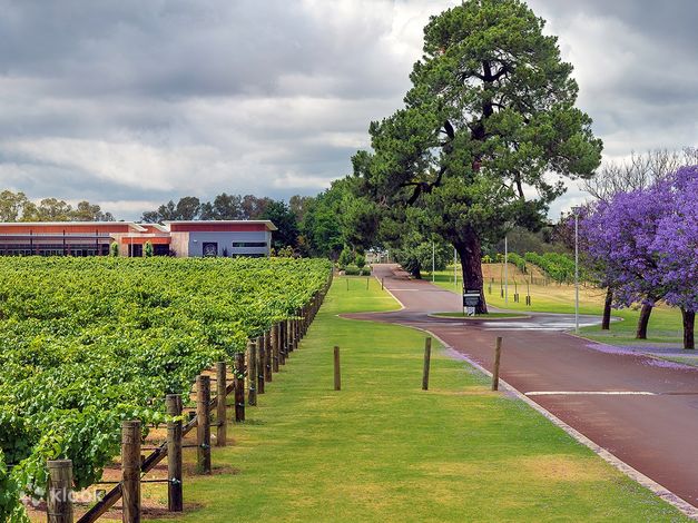 Guided Tour And Wine Tasting in Mandoon Estate - Klook