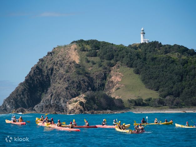 Dolphin and Kayaking Tour in Byron Bay - Klook