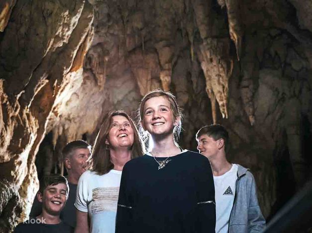 Tour Tham Quan Hang Đom Đóm Hobbiton & Waitomo Với Dịch Vụ Đón Khách ...