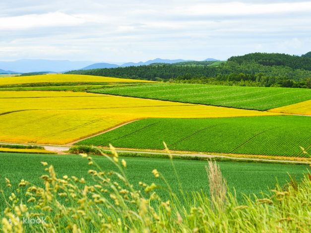 Patchwork Road, Shikisai Hill, Blue Pond, Shirahige Falls, and Farm ...