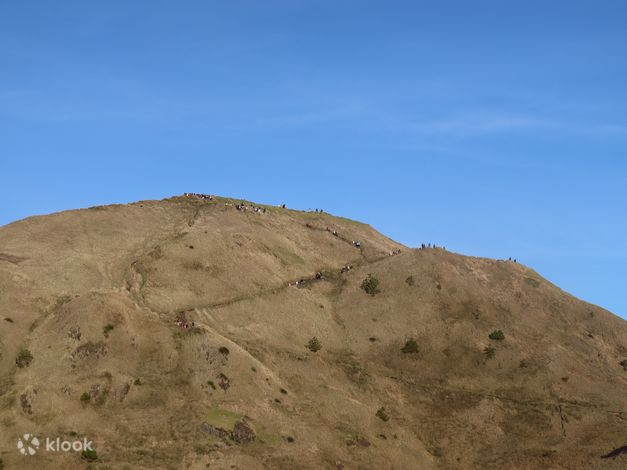 Embark on a Thrilling 2-Day Mt. Pulag Hike for Breathtaking Views ...
