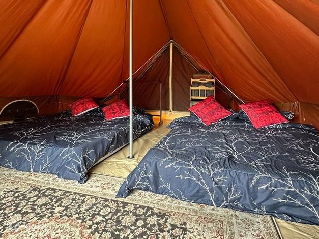 Glamping Experience by The Backyard Glamping Cameron Highlands - Klook ...