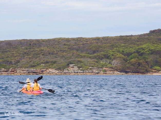Excursion en kayak sur la plage de Manly - Klook États-Unis