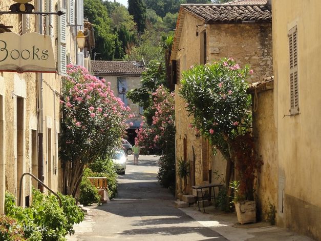 French Riviera Medieval Countryside Tour with Wine Tasting from Nice ...