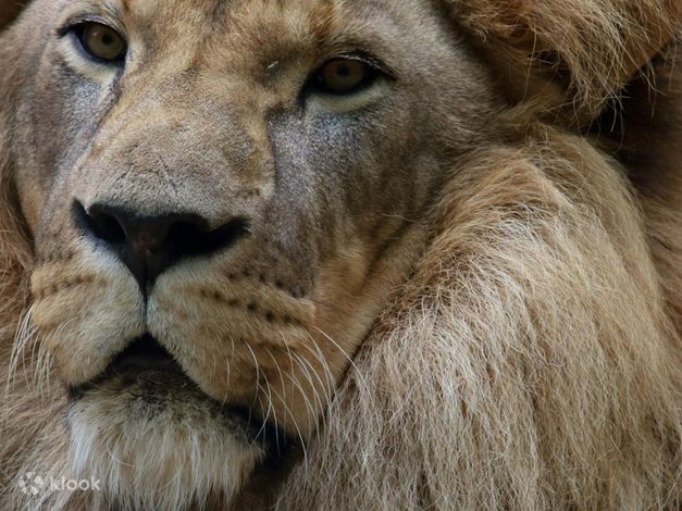 Zoo of Pistoia in Italy - Klook Australia