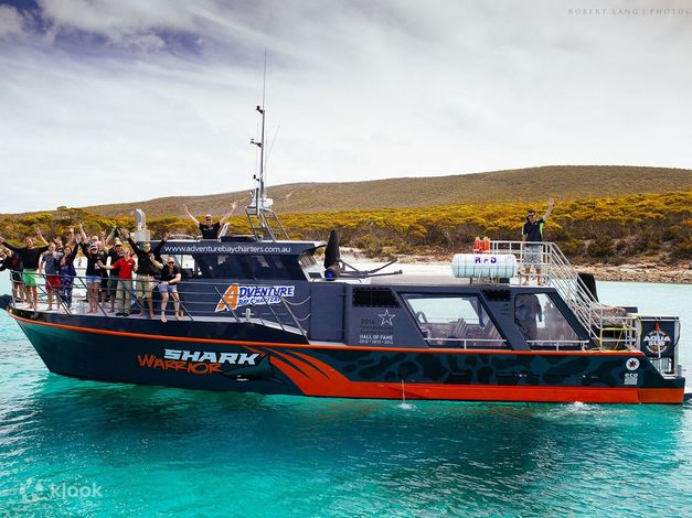 Great White Sharks Watching from Port Lincoln, Australia - Klook ...