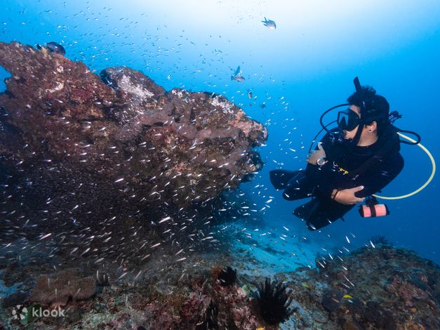 Experience Unforgettable Try Diving in Sanur with PADI 5 Star CDC ...