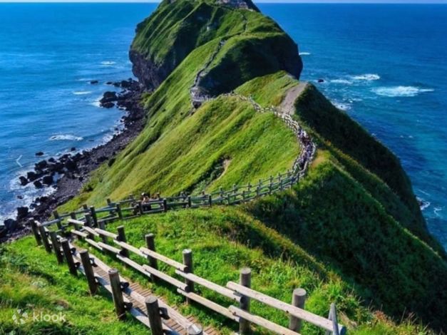 [Spring Only] Hokkaido Cherry Blossom Day Tour | Cape Kamui & Yoichi ...