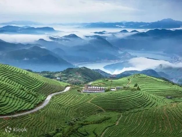 Wuyishan National Park Private Guided 3-Day Tour Jiuqu River Bamboo ...