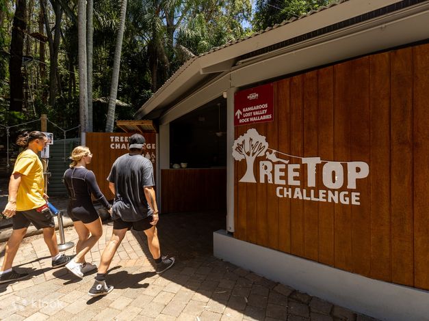 TreeTop Challenge at Currumbin Wildlife Sanctuary - Klook Canada