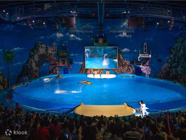 Kunming Sunac Ocean World - Klook