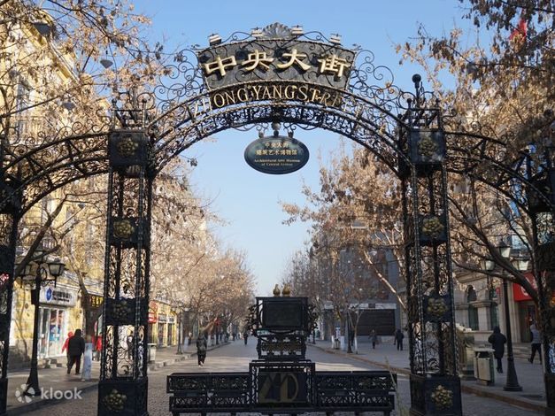 Harbin Ice and Snow Festival Winter Private Guided 1-Day Tour with Your ...