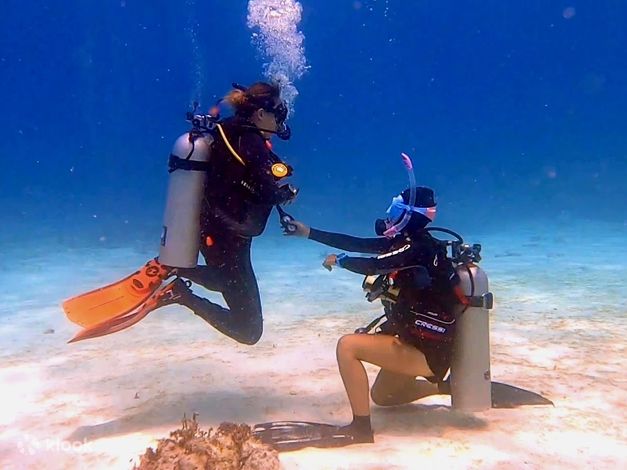 ค้นพบการผจญภัย: PADI Advanced Open Water Diver ในโบโฮลกับ PADI 5 Star ...