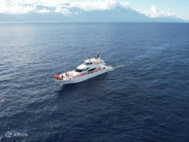 花莲｜维纳司游艇赏鲸体验 - Klook客路