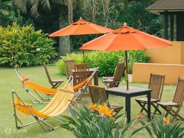 東京発初島・熱海日帰りバスツアー（海鮮BBQ付き） | Klook