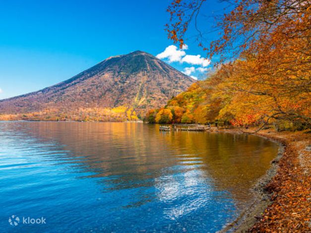 Ashikaga Flower Park, Nikko Edomura and Kinugawa Onsen 2-Day Bus Tour ...
