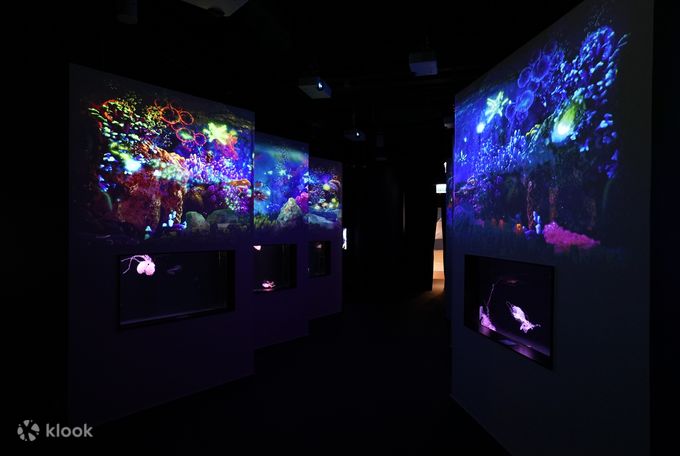 2 Hour Cube O Discovery Park Ticket in Hong Kong (Direct Entry) - Klook