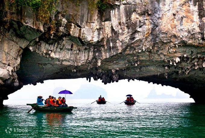 Luon Cave and Titop Island Full Day Tour in Halong Bay, Vietnam - Klook ...