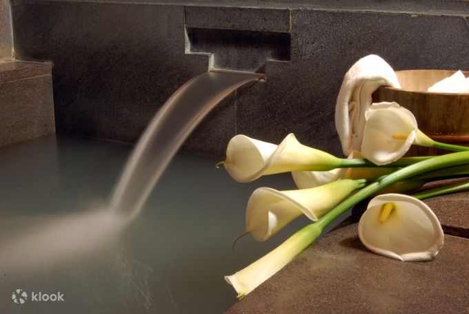 Book Spring City Resort Beitou Hot Spring Spa in Taipei Online - Klook ...