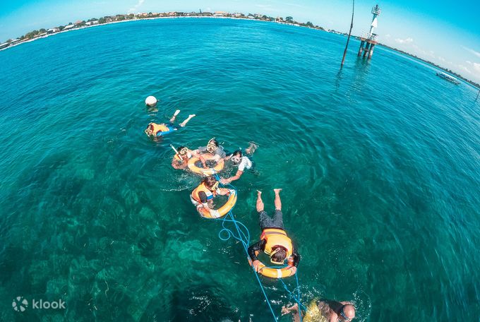 Turtle Island, Glass Bottom Boat and Mangrove Cruise by JTB Indonesia ...