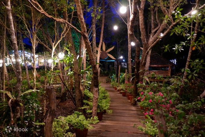 Firefly Watching in Puerto Princesa - Klook Philippines