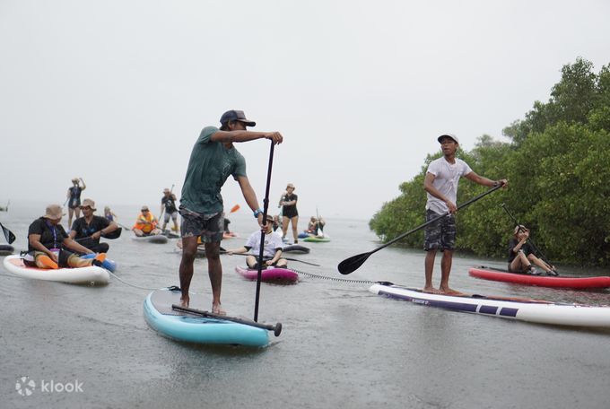 Stand Up Paddle Board Tour in Bali - Klook