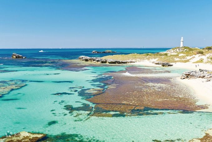 Rottnest Island Seaplane Tours from Perth - Klook