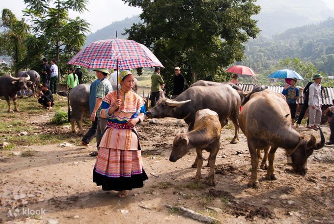 Bac Ha Market and Ban Pho Village Day Tour from Sapa, Vietnam - Klook Philippines