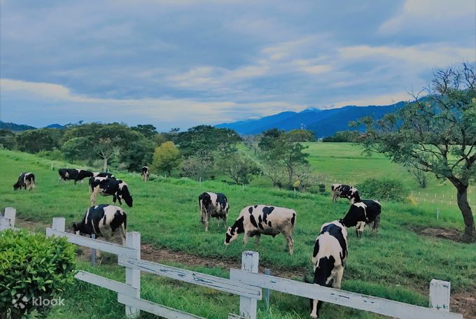 Chu Lu Ranch Admission Ticket - Klook United States