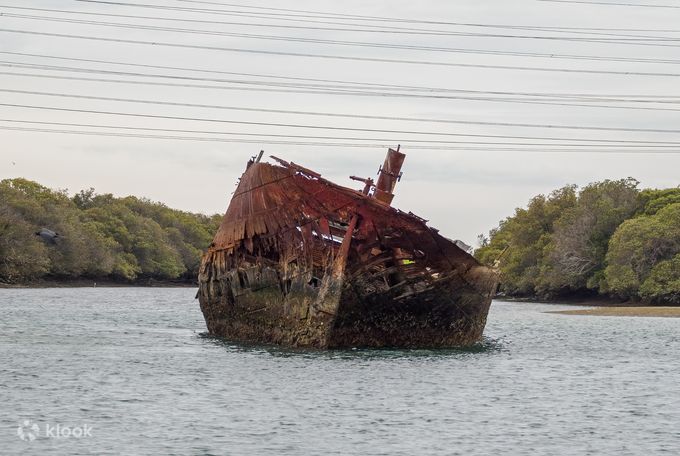 90 Minute Port River Dolphin & Shipwreck Cruise in Port Adelaide - 클룩 ...