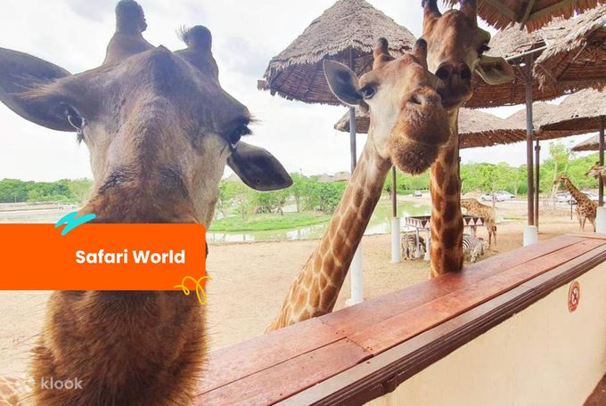 Up to 45% Off | Klook Bangkok & Pattaya Multi Attractions Pass [Bundle ...