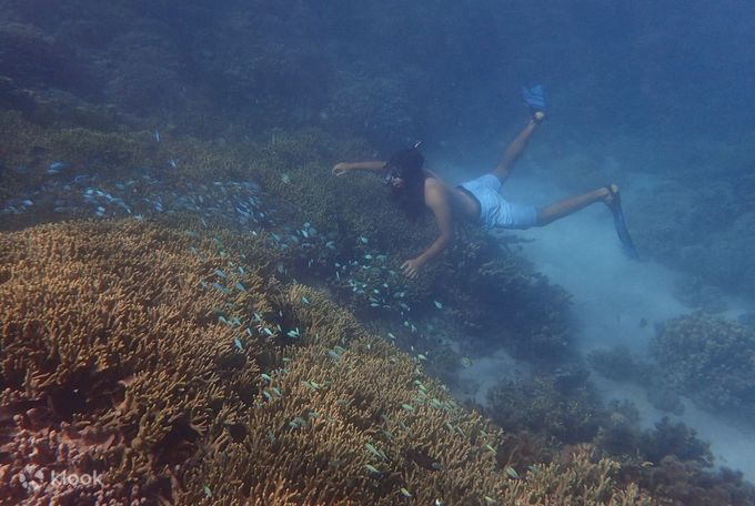 Introductory Freediving Class in Guam - 클룩 KLOOK 한국