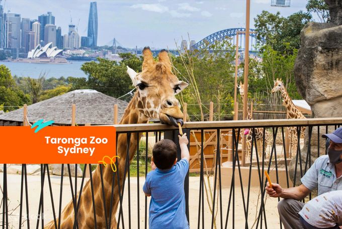 Klook Attraction Pass Sydney - Klook United States