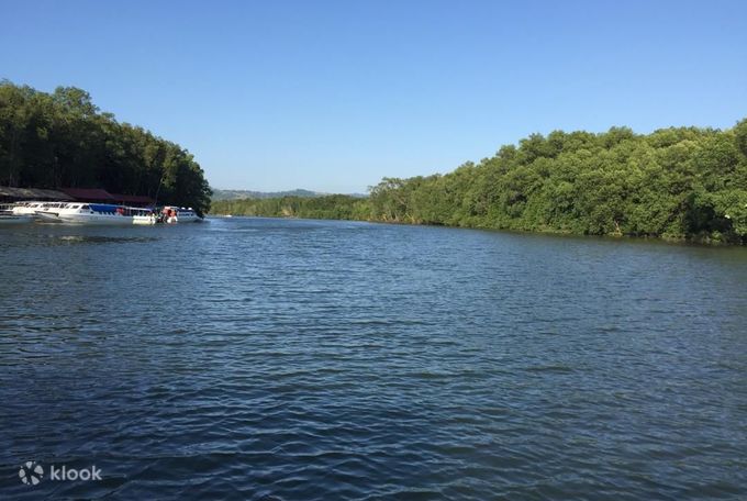 Nanamun Kawa River Wildlife & Sunset Fireflies Cruise - Klook