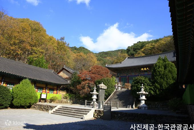 Mount Jiri Scenic Autumn Day Tour from Busan - Klook