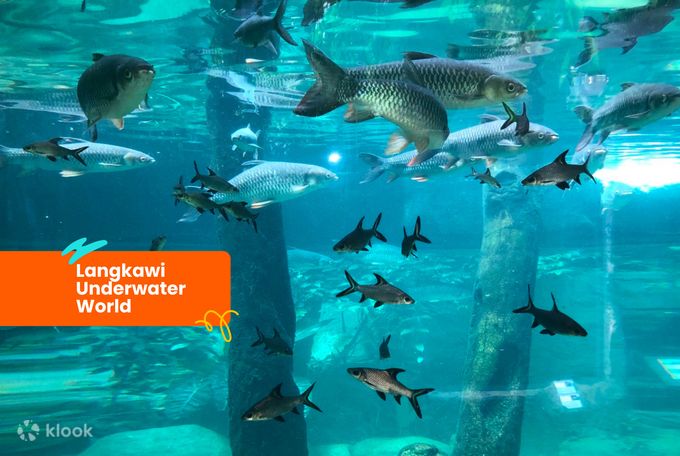 Klook Langkawi Attraction Pass [Bundle & save!] - Klook