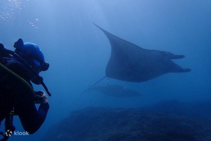 Discovery Scuba Diving In East Bali By Bali Aqua Dive Center in Bali ...