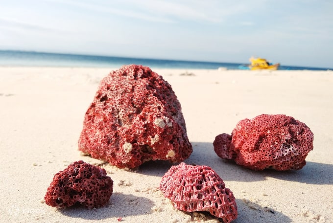 Pulau Pasir, Pink Beach, and Semangko Beach Private Tour in Lombok - Klook