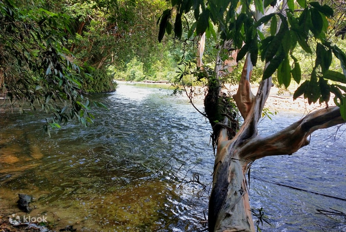 Taman Negeri Rompin Trekking Tour from Pahang - Klook United States