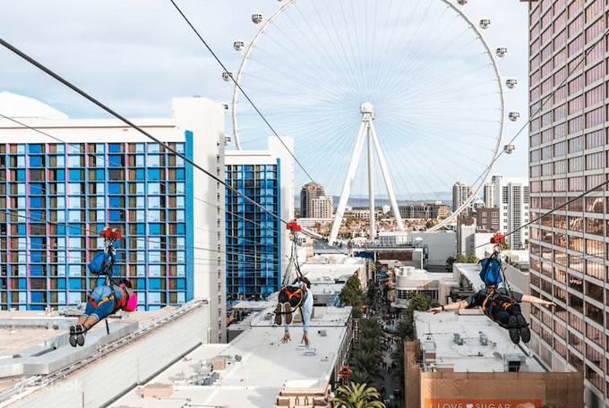 Flylinq Zipline in Las Vegas - 클룩 KLOOK 한국