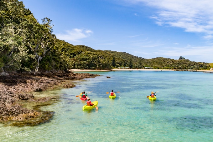 Sightseeing Ferry Charter Trip for Otehei Bay - Klook客路