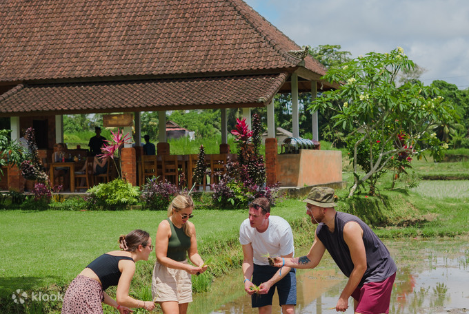 Balinese Healing Journey, Cooking Class, Cycling, or Balinese Living ...
