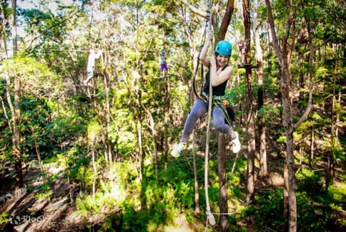TreeTop Challenge Currumbin Wildlife Sanctuary - Klook Australia