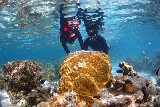 Saipan Kayaking & Snorkeling Adventure in Paupau Beach - 클룩 KLOOK 한국